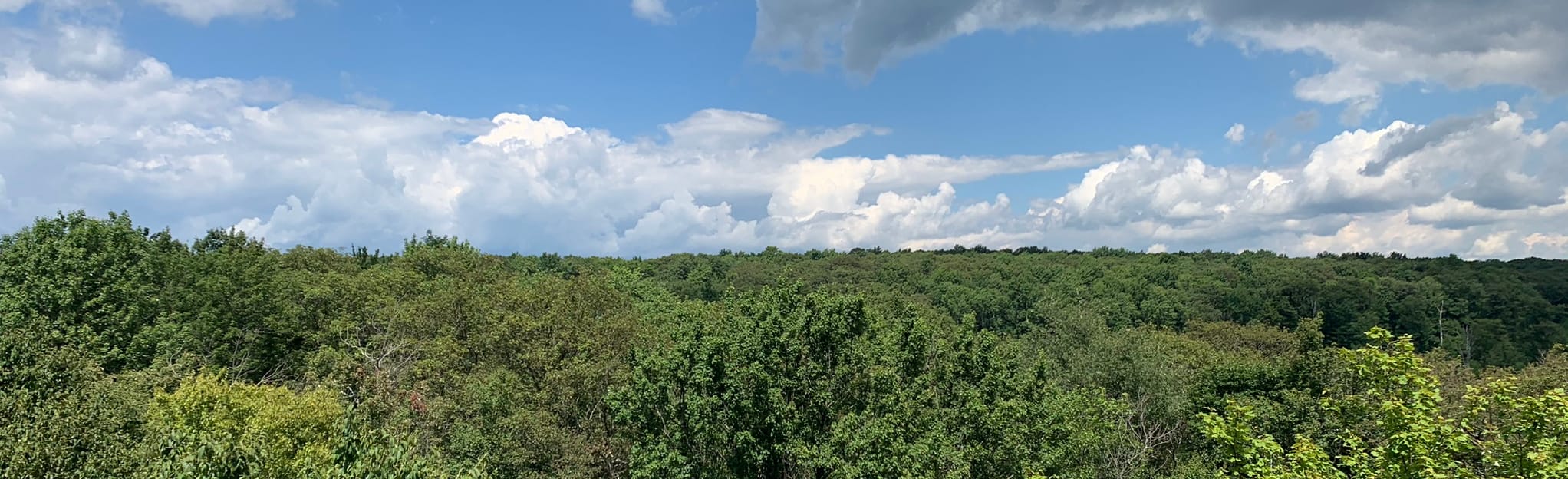 Laurel Highland Hiking Trail: Turnpike Shelters to Rt. 30: 111 Reviews ...