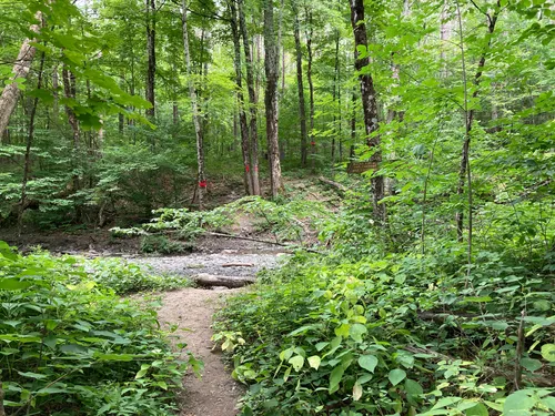 10 Best Trails and Hikes in Albany | AllTrails