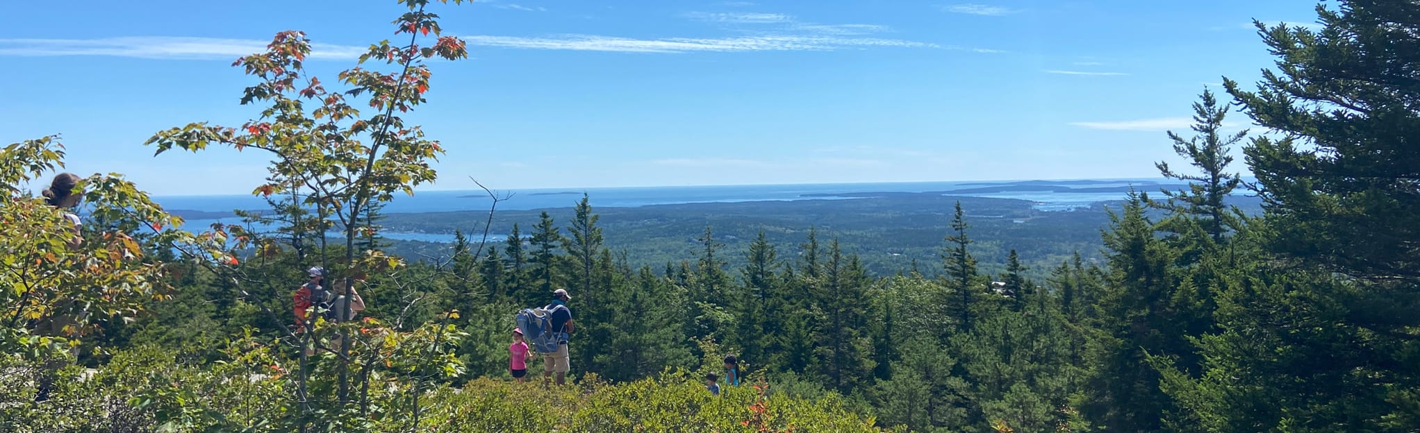 Beech Mountain West Ridge Trail, Maine - 105 Reviews, Map | AllTrails