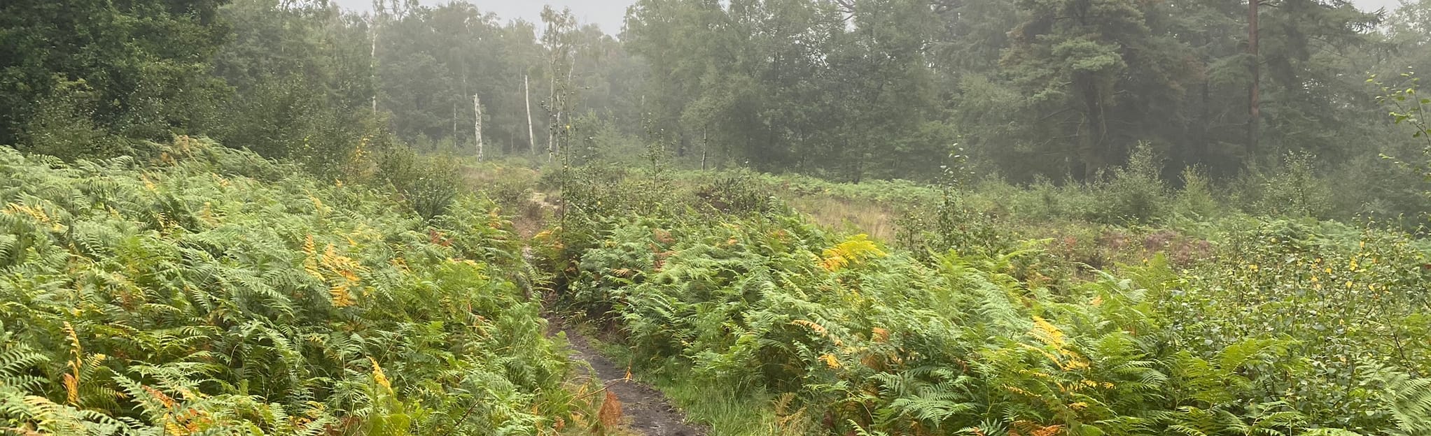 Stanmore Common Circular, Hertfordshire, England - 24 Reviews, Map ...