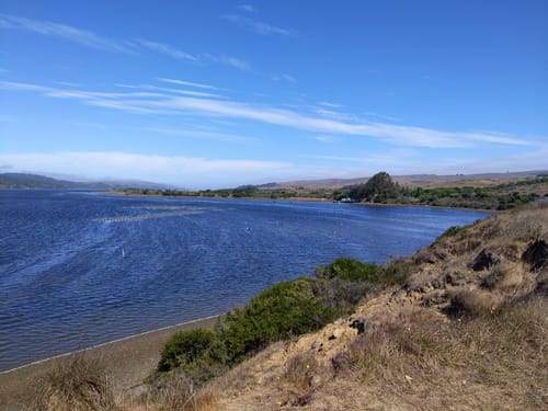 2023 Best Views Trails in Tomales Bay State Park | AllTrails