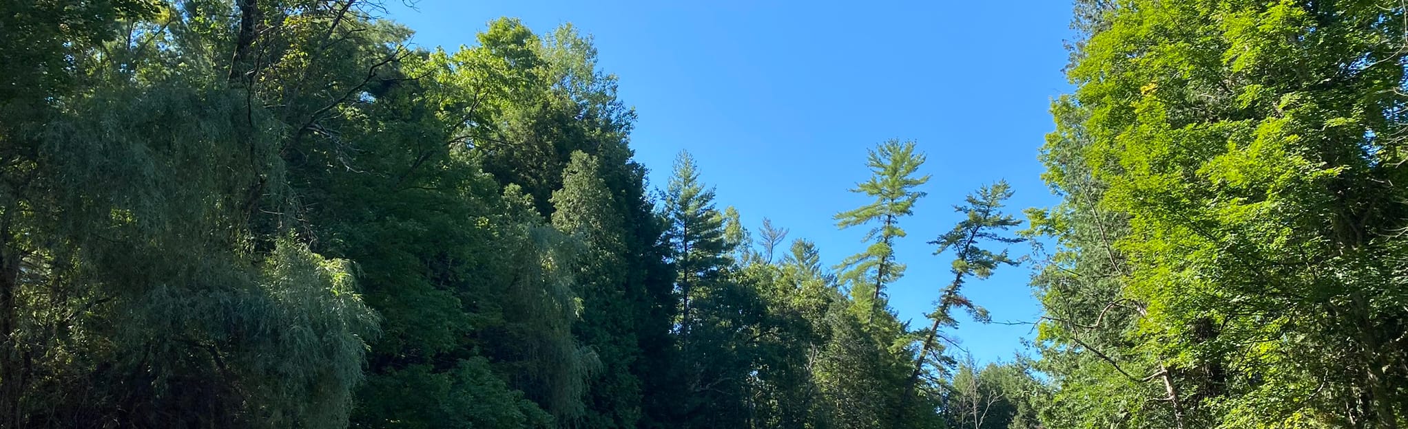 Pere Marquette River, Michigan - 22 Reviews, Map | AllTrails Pere Marquette River, Michigan - 22 Reviews, Map | AllTrails