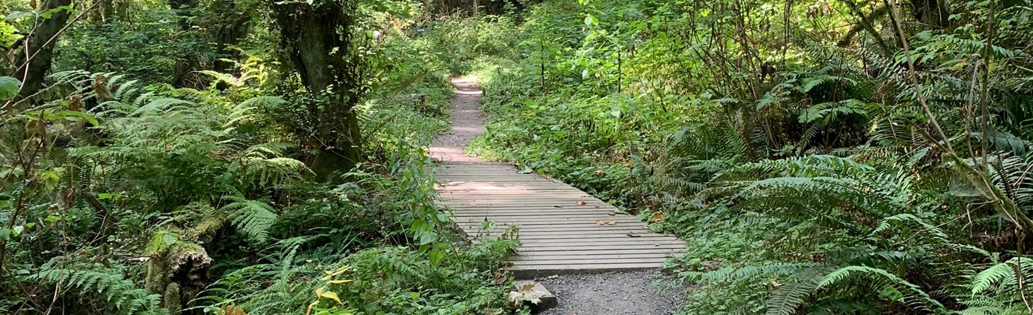 Founders Trail to Collins Trail Loop, Oregon - 94 Reviews, Map | AllTrails