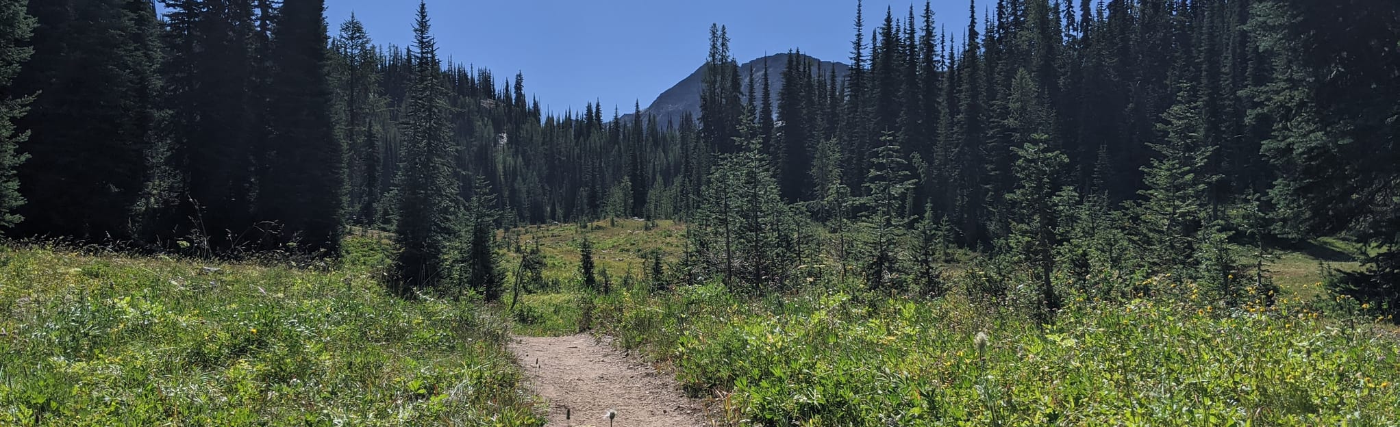 McAlester Pass and Rainbow Lake Loop [CLOSED], Washington - 72 Reviews ...