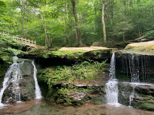 10 Best Trails and Hikes in Hunter | AllTrails