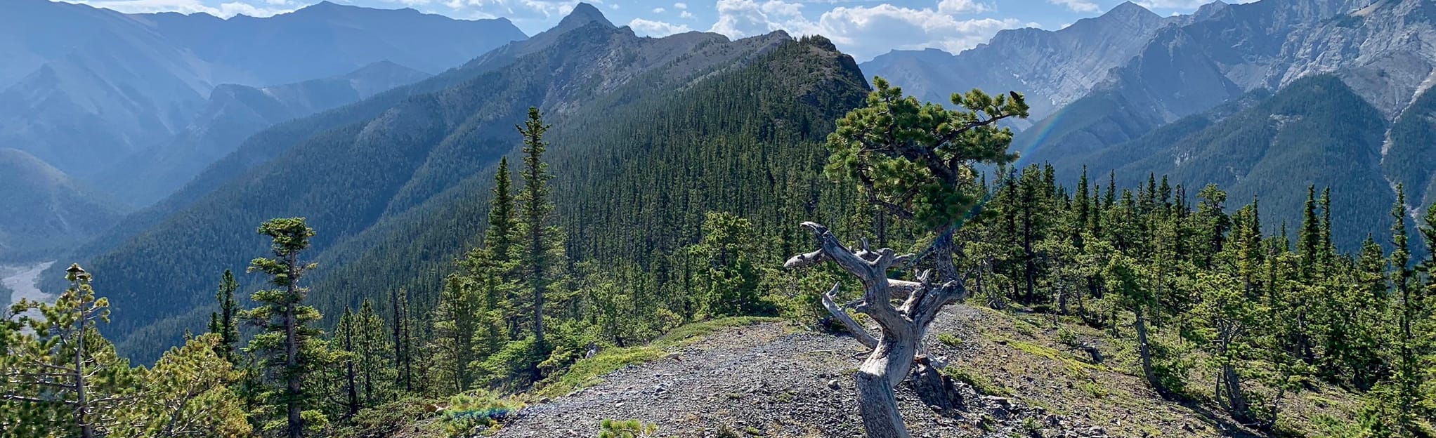 Wasootch Ridge Trail, Alberta, Canada - 2,495 Reviews, Map | AllTrails