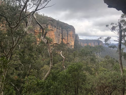 2023 Best 10 Trails and Hikes in Mount Victoria | AllTrails