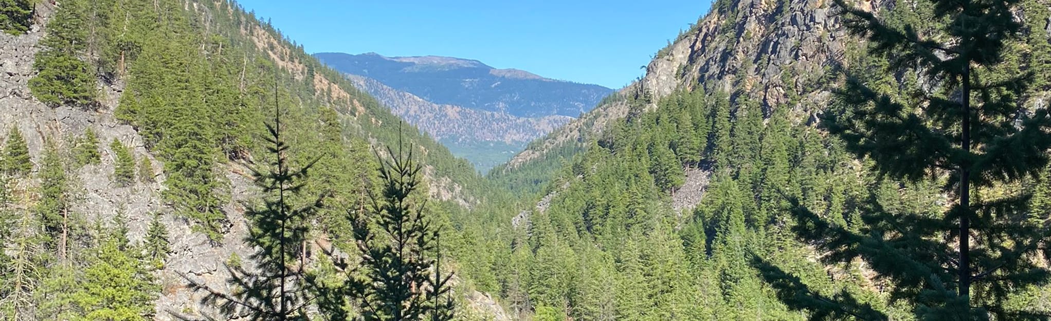 Stein River Trail [CLOSED]: 26 Reviews, Map - British Columbia, Canada ...