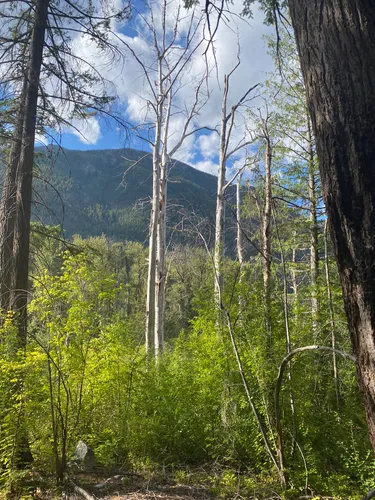 Best Hikes and Trails in Stein Valley Nlaka’pamux Heritage Park | AllTrails
