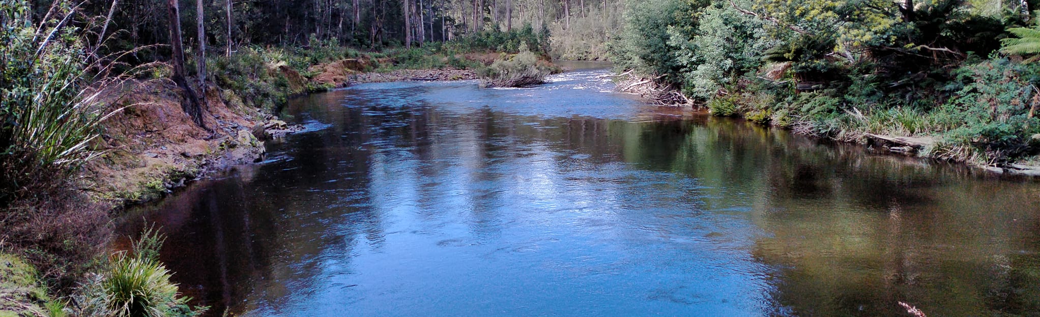 Mount Duncan via Dial Creek: 3 Reviews, Map - Tasmania, Australia ...