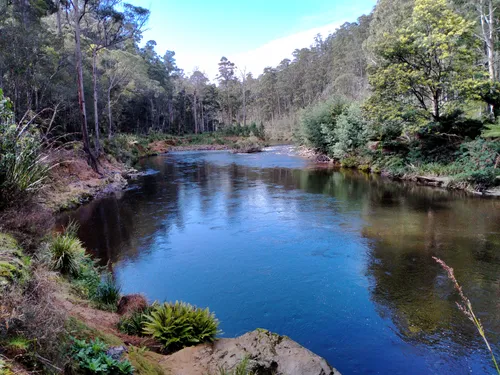 Best Hikes and Trails in Dial Range Regional Reserve | AllTrails