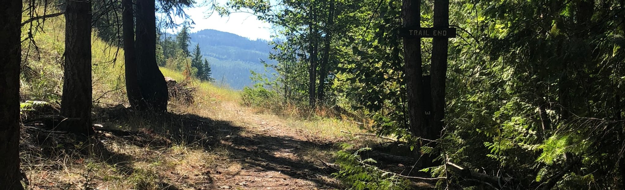 Old Sicamous Highway, British Columbia, Canada - 54 Reviews, Map ...