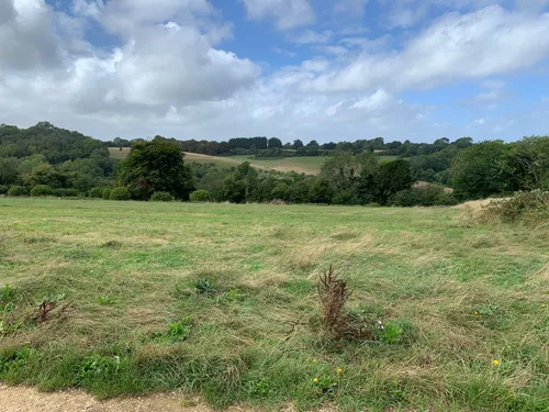 Best Hikes and Trails in Farthing Downs | AllTrails