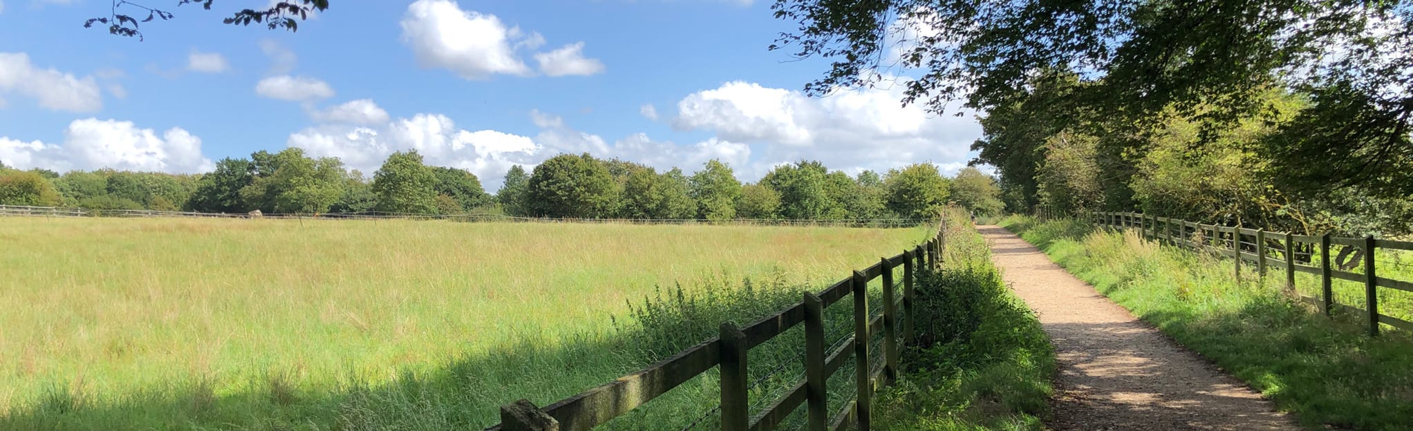 Wheathampstead Circular, Hertfordshire, England - 39 Reviews, Map ...
