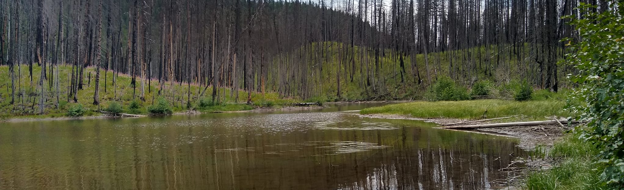 Morrell Falls National Recreation Trail: 455 Reviews, Map - Montana ...