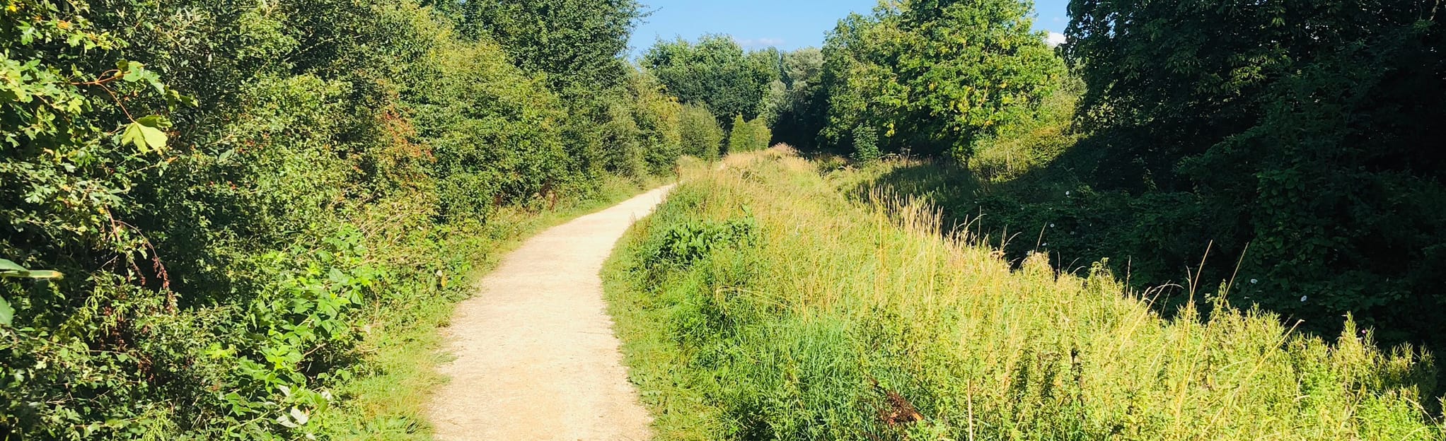 Grebe Lake Trail: 60 Reviews, Map - Lincolnshire, England | AllTrails