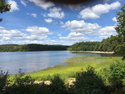 Best 10 Hikes and Trails in Quabbin Reservoir | AllTrails