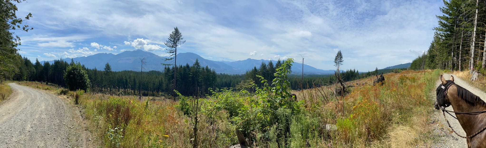 Lyman Hill and Mount Josephine OHV Trail, Washington - 10 Reviews, Map ...