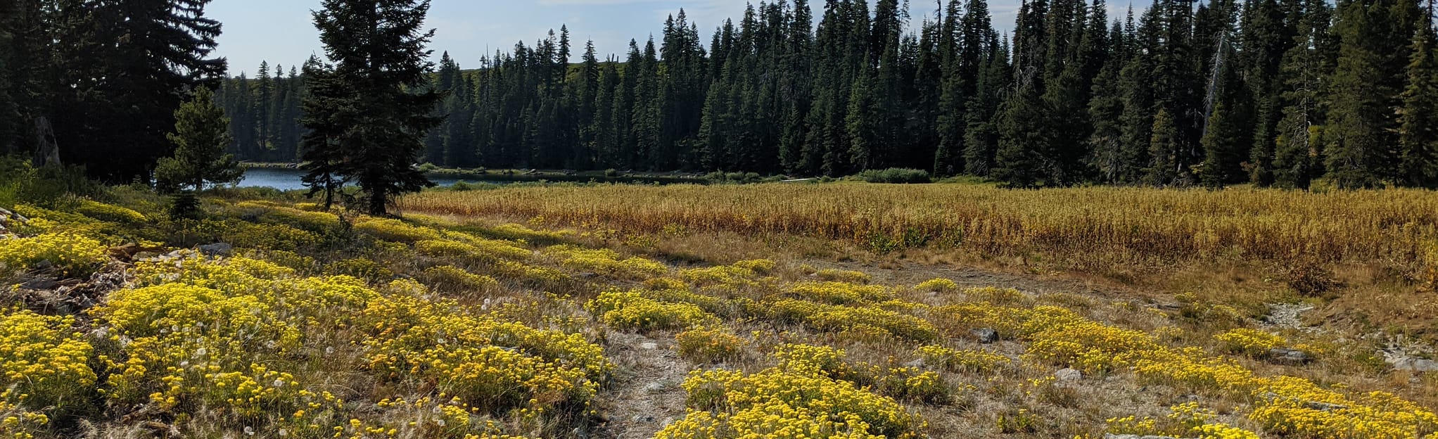 Ukonom Lake via Stanshaw Trail, California - 2 Reviews, Map | AllTrails