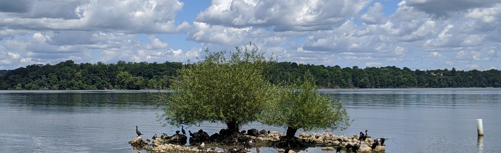 Princess Point to Bayfront Park via Desjardins Trail, Ontario, Canada ...