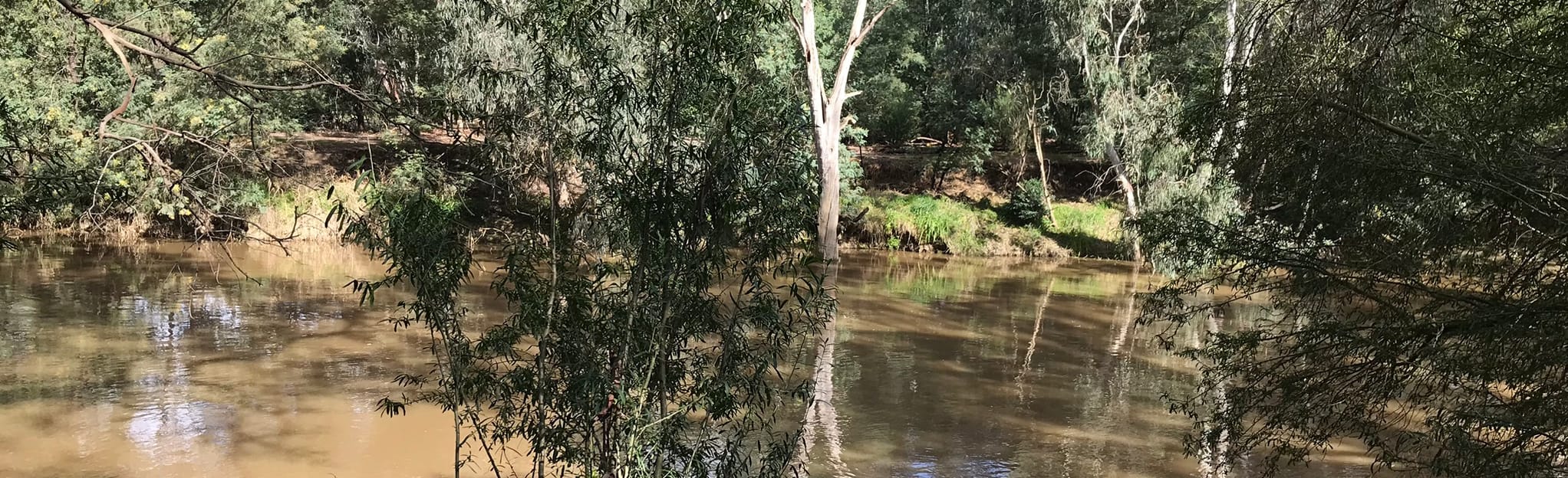 Alphington Wetlands and Park, Victoria, Australia - 17 Reviews, Map ...