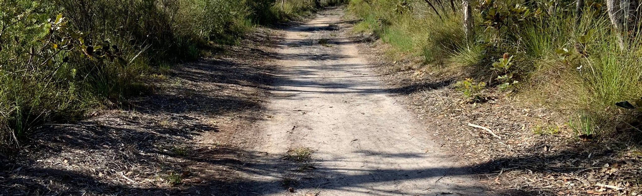 Mooloolah River National Park Walk, 88 Fotos - Queensland, Australia ...