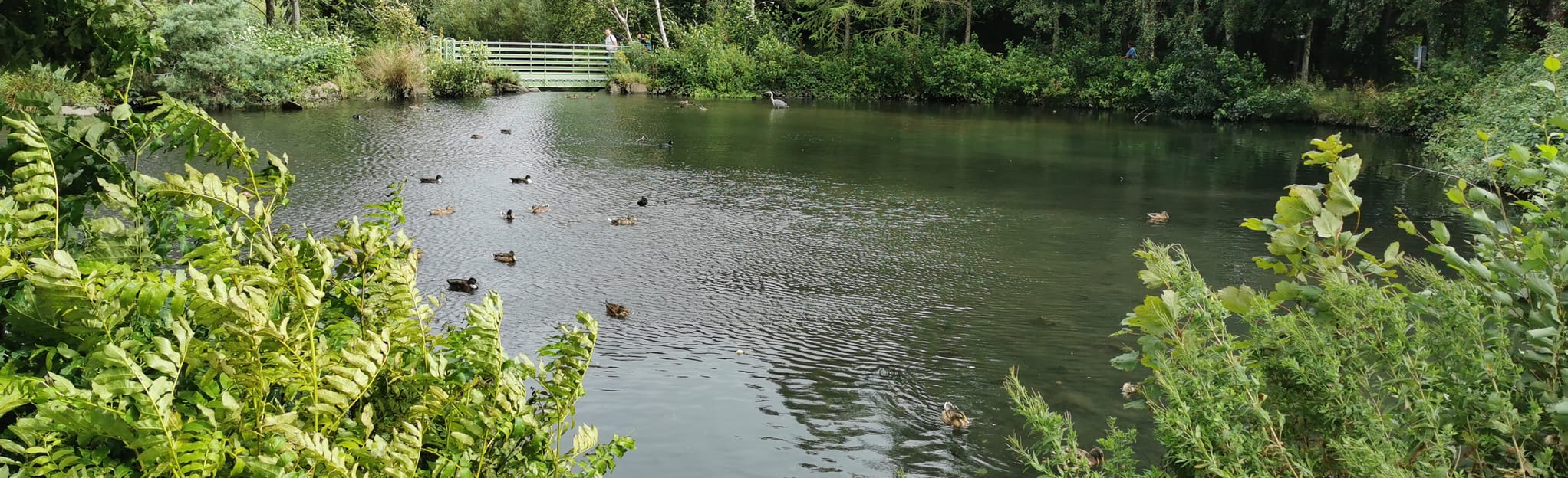 Tymon Park and Tymon River Loop, County Dublin, Ireland - 74 Reviews ...