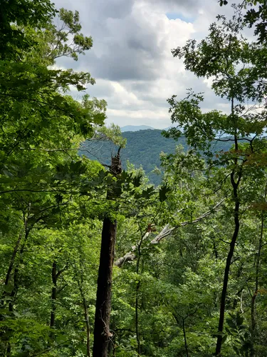 10 Best Trails and Hikes in Blue Ridge | AllTrails