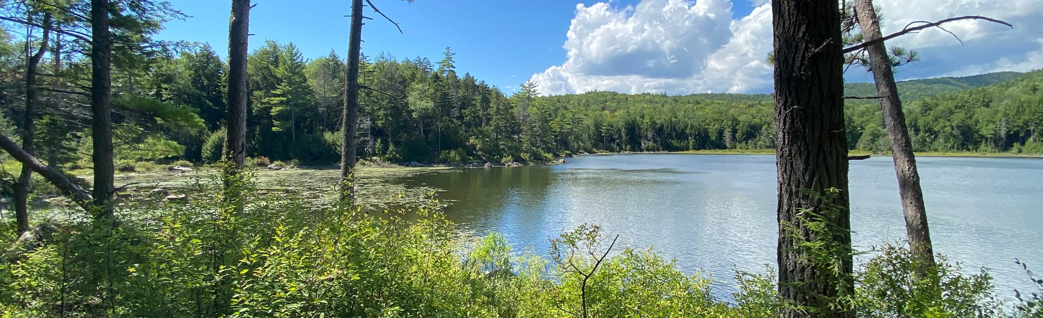 Goose Pond Trail: 134 Reviews, Map - New Hampshire | AllTrails
