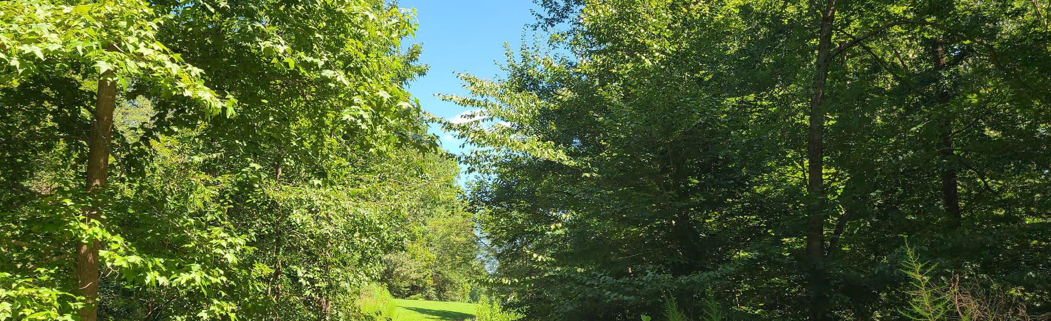 Marl Ravine Trail, Virginia - 43 Reviews, Map | AllTrails