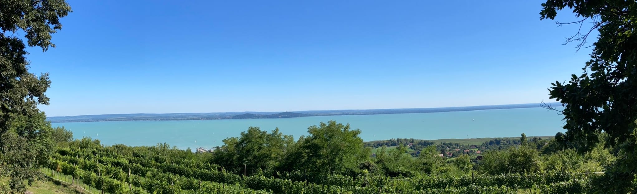 Badacsonytördemic - Sendero natural de Kuruc, 130 Fotos - Veszprém ...