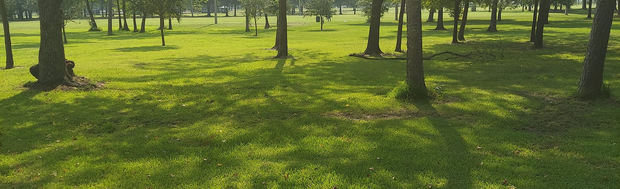 Meyer Park Northern Loop, Texas - 167 Reviews, Map | AllTrails