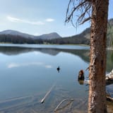 Poage Lake Trail, Colorado - 7 Reviews, Map | AllTrails