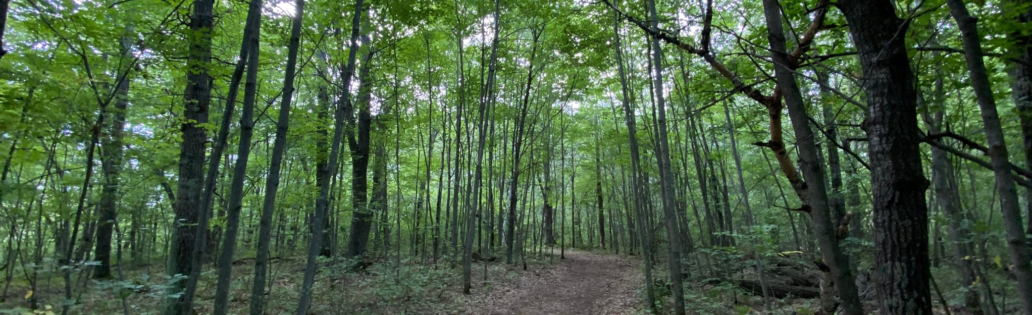 Trego Lake Trail, Wisconsin - 36 Reviews, Map | AllTrails