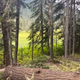 Hyas Lake Trail, Washington - 196 Reviews, Map | AllTrails