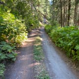 Tumwater Mountain Approach, Washington - 90 Reviews, Map | AllTrails