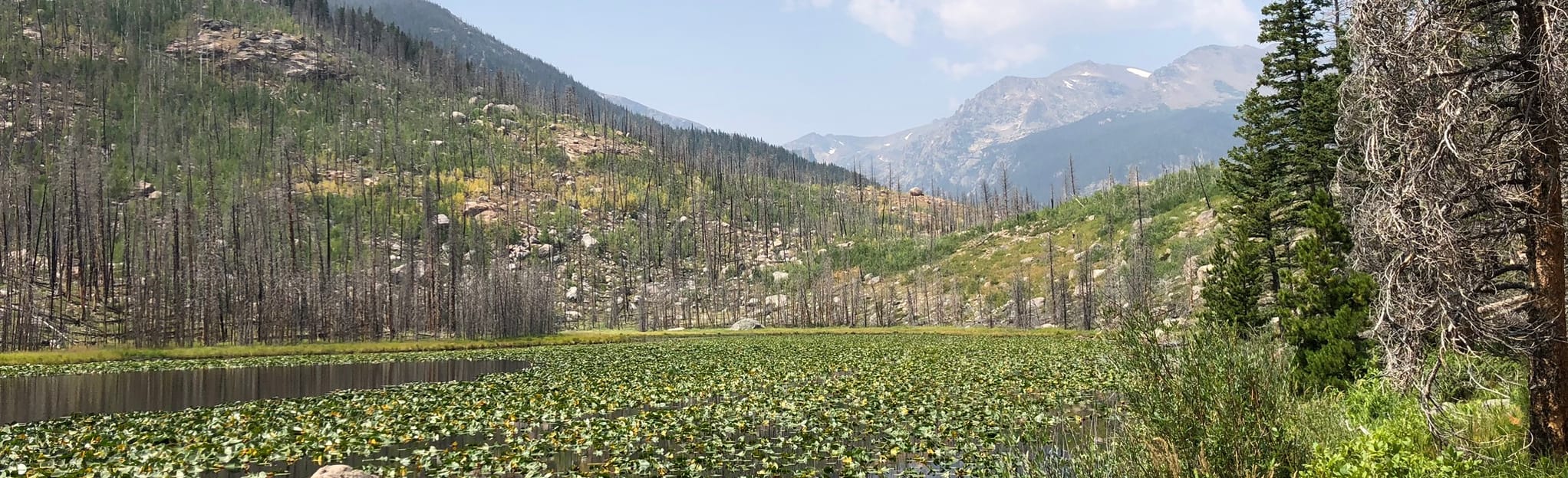 Fern Lake and Cub Lake Loop, Colorado - 203 Reviews, Map | AllTrails