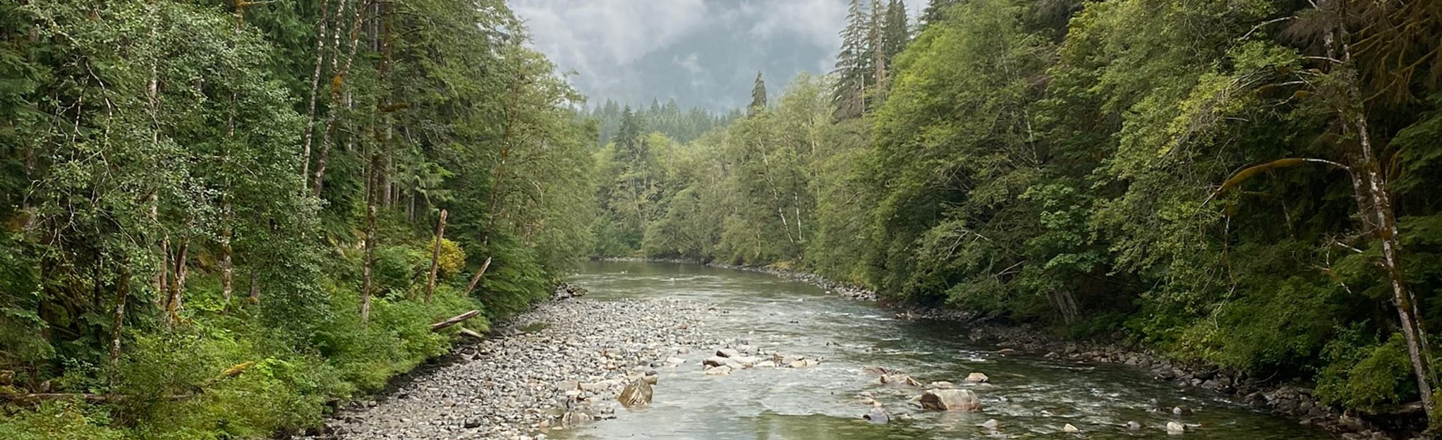 Middle Fork Snoqualmie Loop: 14 Reviews, Map - Washington | AllTrails