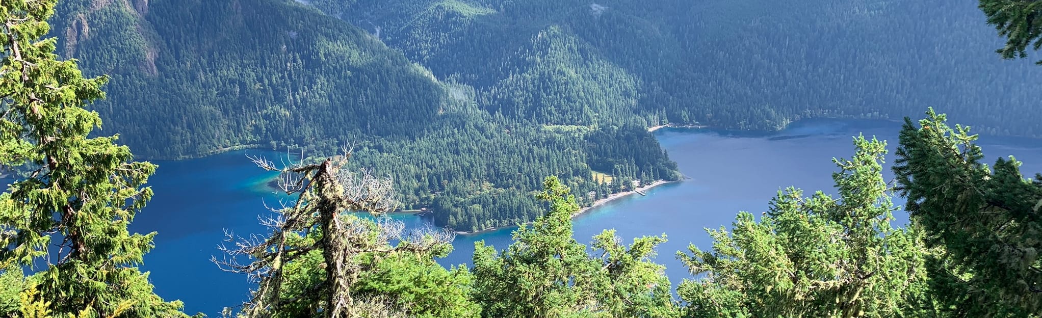 Pyramid Mountain Trail: 432 Reviews, Map - Washington | AllTrails