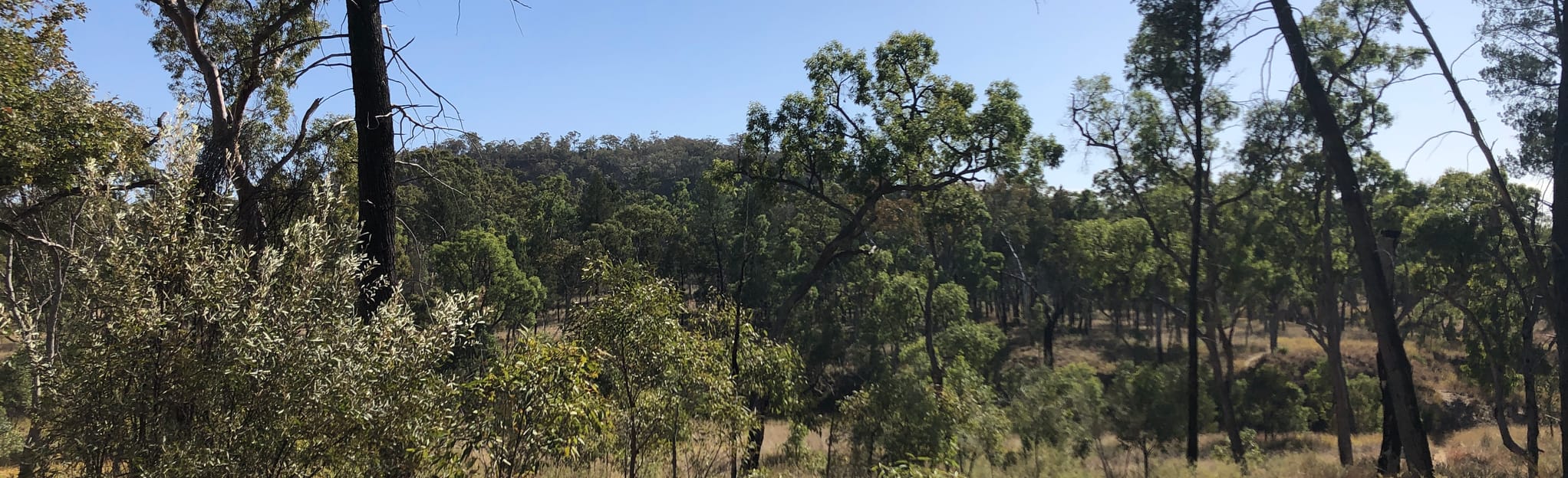 Mount Moffat Loop: 18 Fotos - Queensland, Australien | AllTrails
