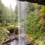Shellburg Falls Trail, Oregon - 855 Reviews, Map | AllTrails