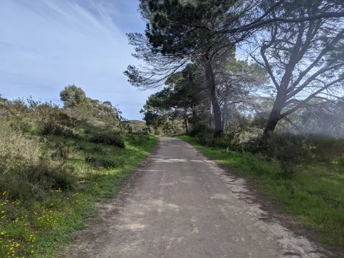 10 Best Trail Running Trails in Perth | AllTrails