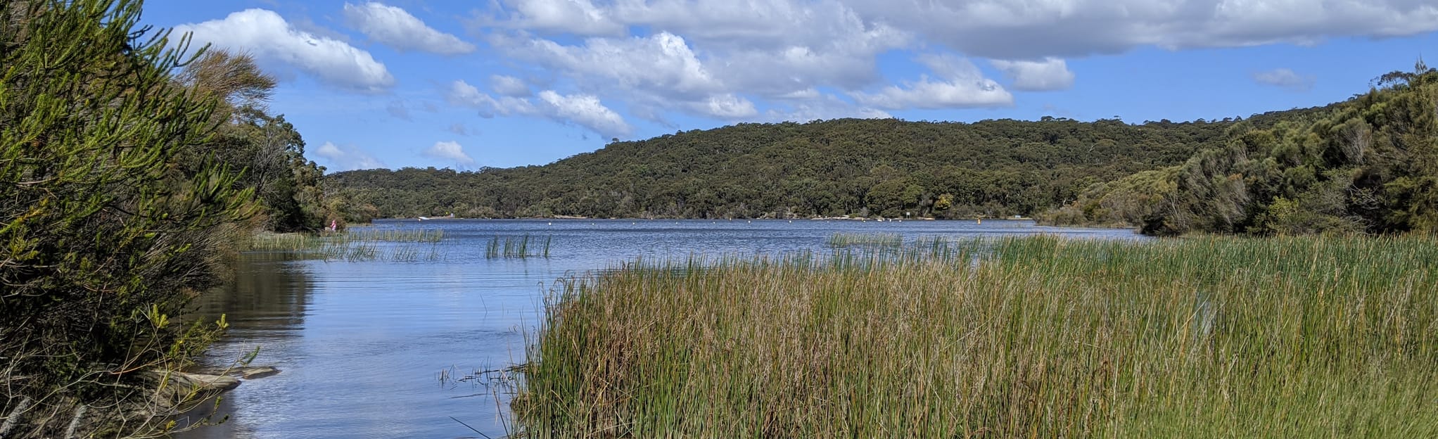 Allambie Heights Park Track, New South Wales, Australia - 56 Reviews ...