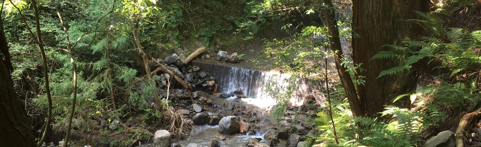 Mount Horai - Yakushi Falls Loop: 41 Fotos - Shiga, Japan | AllTrails