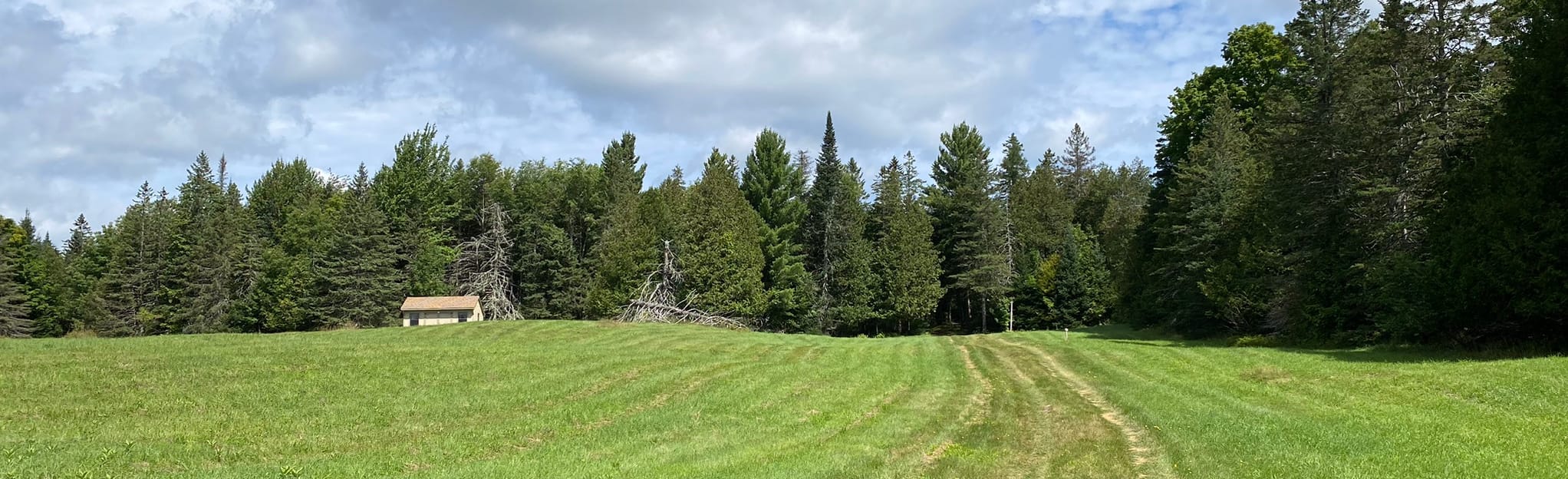 Duck Pond Loop, Vermont - 38 Reviews, Map | AllTrails