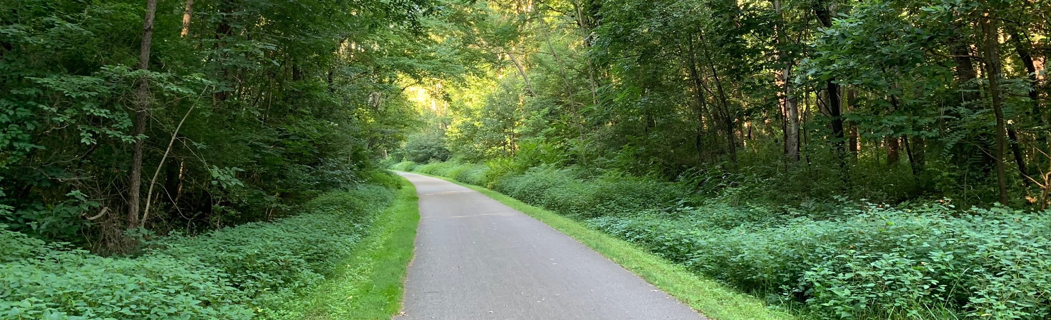 Metro Parks Freedom Trail: 274 Reviews, Map - Ohio | AllTrails