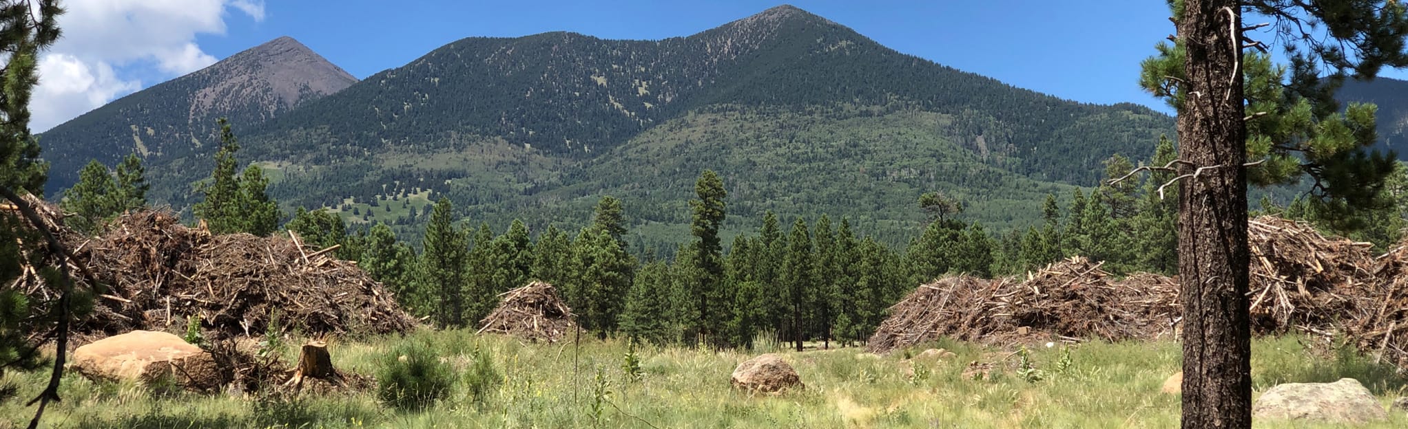 Azt-Shultz Creek Loop, Arizona - 45 Reviews, Map | AllTrails