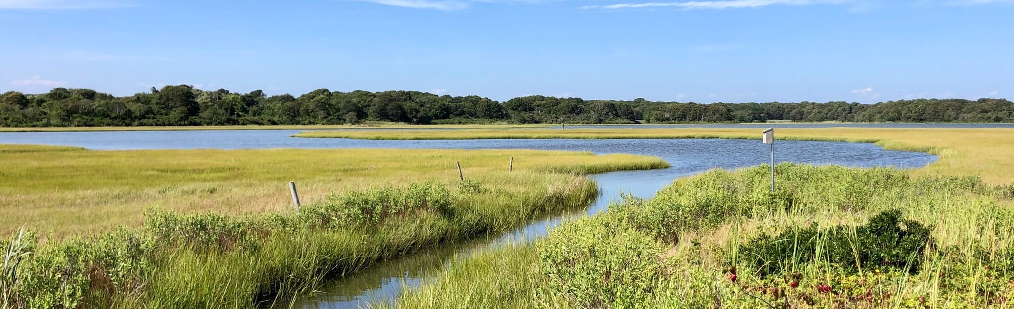 Allen Pond and Beach Trail: 77 Reviews, Map - Massachusetts | AllTrails