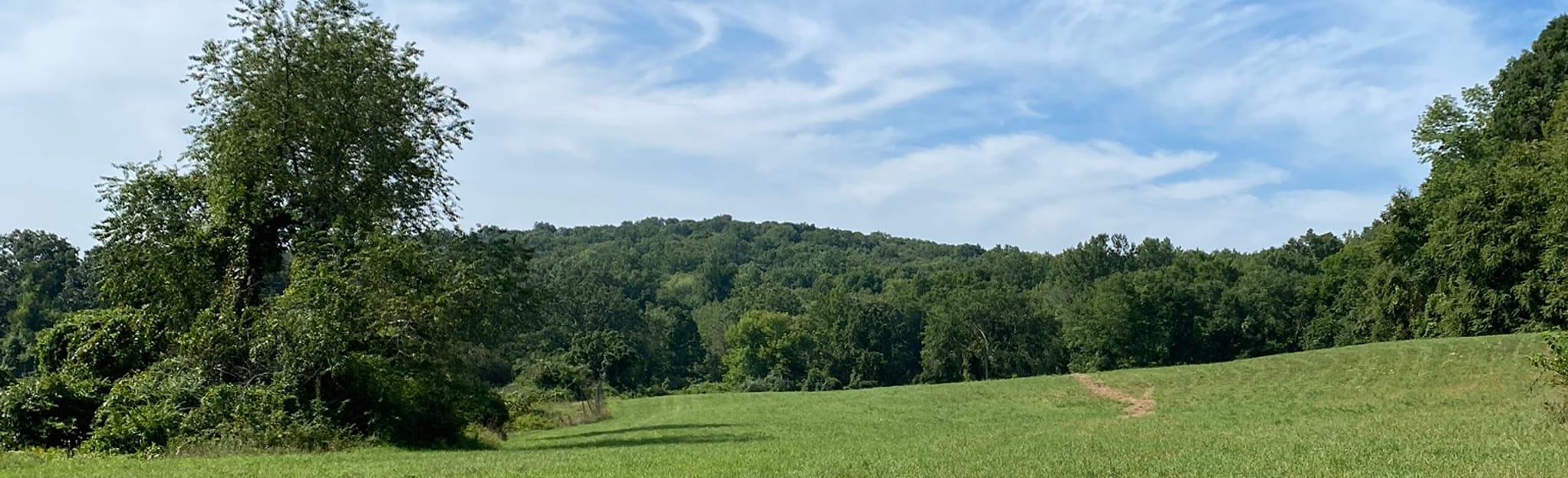 AllTrails | Muscoot Farm Yellow and Red Loop: 82 Reviews, Map - New York