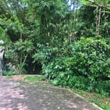 Bukit Mertajam Viewing Point via Cherok Tokun, Penang, Malaysia - 352 ...